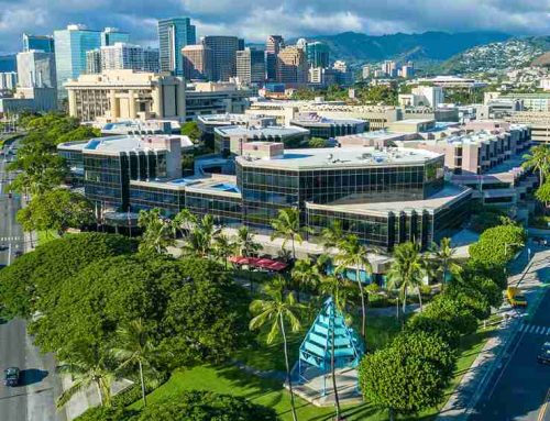 How Much Does A Hip Or Knee Replacement Cost? - Dr. Paul Norio Morton ...